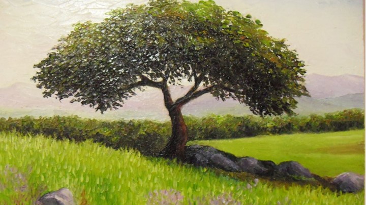 The return of the Huarango – Cambridge IELTS 15, Test 4 - Ielts Ms Ngọc