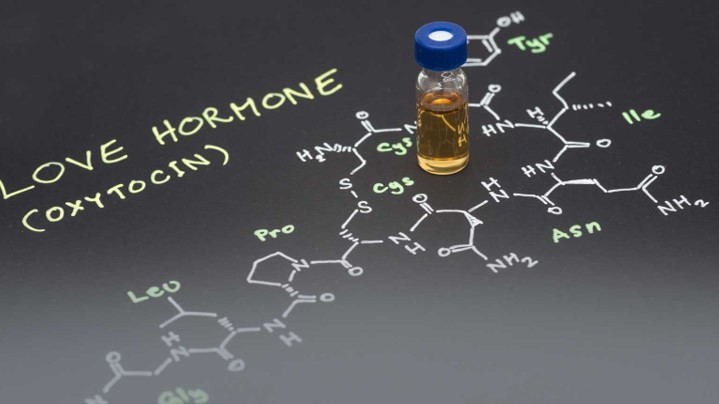 The positive and negative effects of the chemical known as the ‘love ...