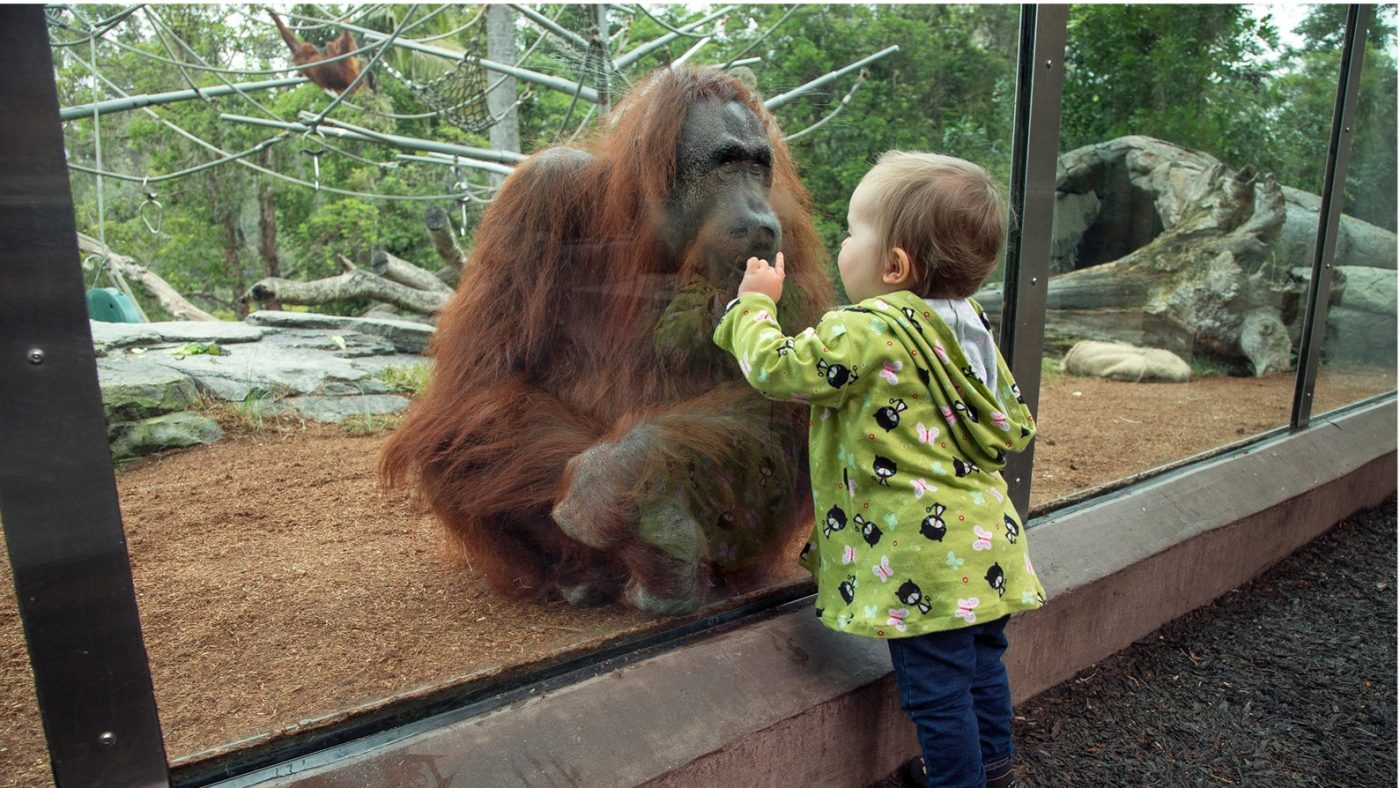 Why zoos are good – Cambridge IELTS 14, Test 4 - Ielts Ms Ngọc